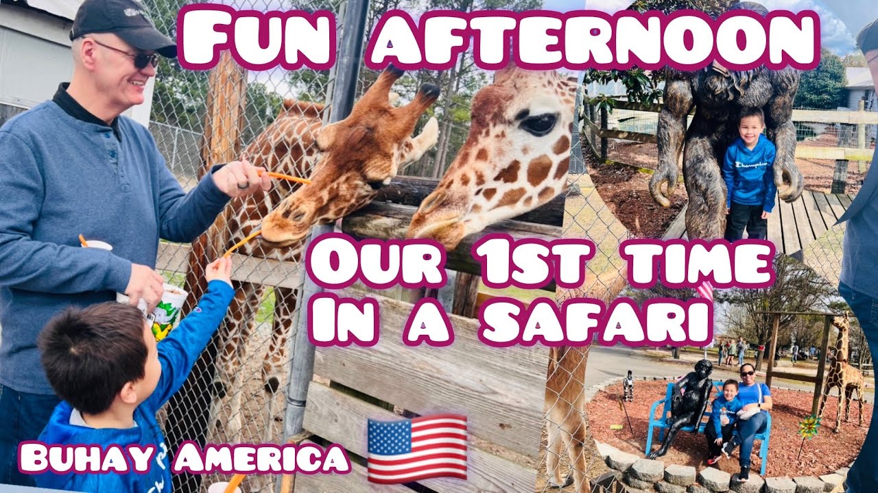 We had so much fun feeding the animal's here🥰😍Aloha Safari Animal Zoo ...