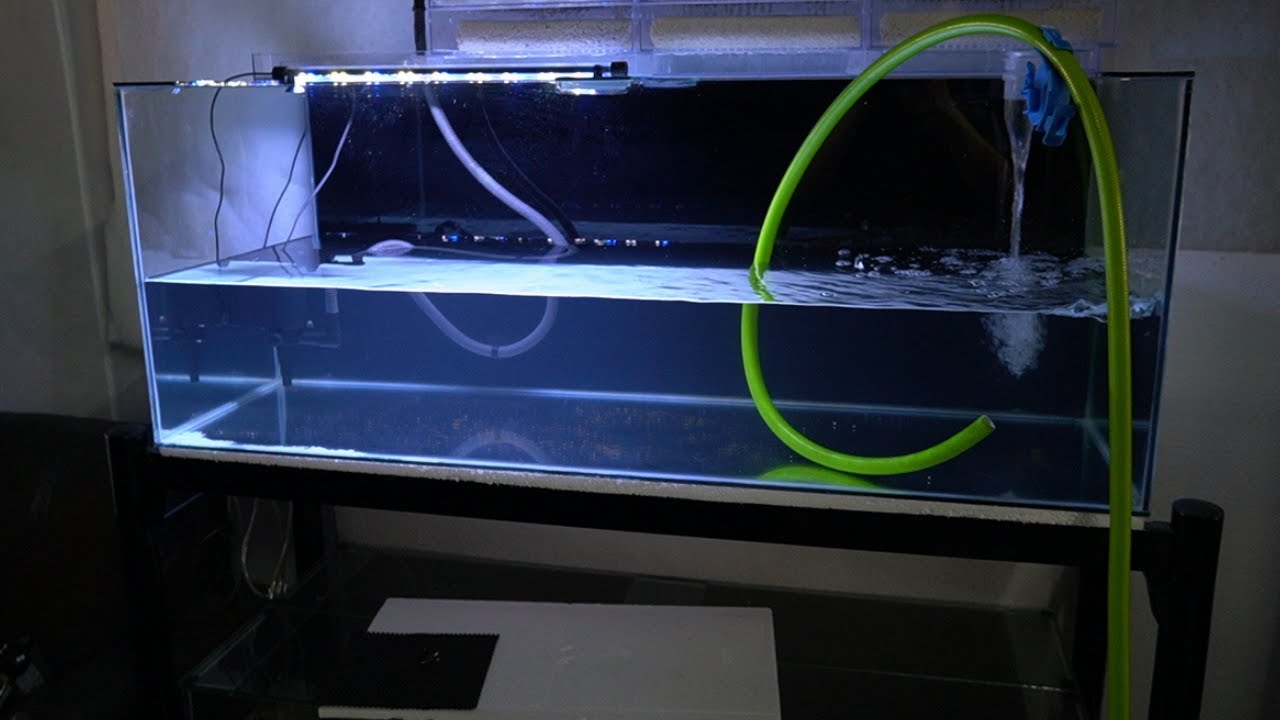 Set up NEW tank for Aimara WOLF fish | Monster Aquarium Fish Room ...
