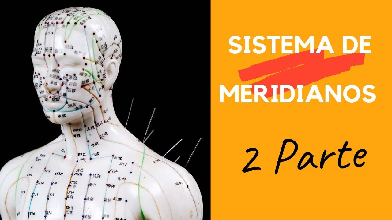 SISTEMA DE MERIDIANOS DE ACUPUNTURA - 2 PARTE │ meridianos de ...