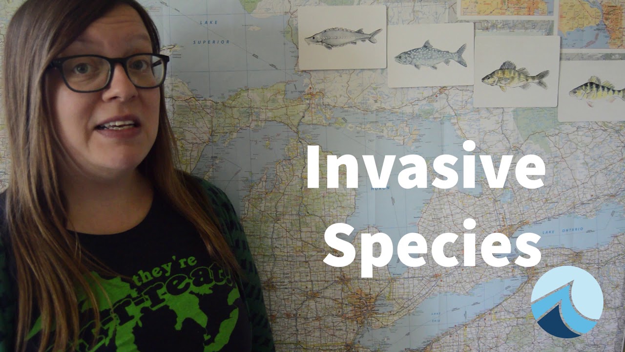 H.O.M.E.School: Native vs Invasive Species - YouTube