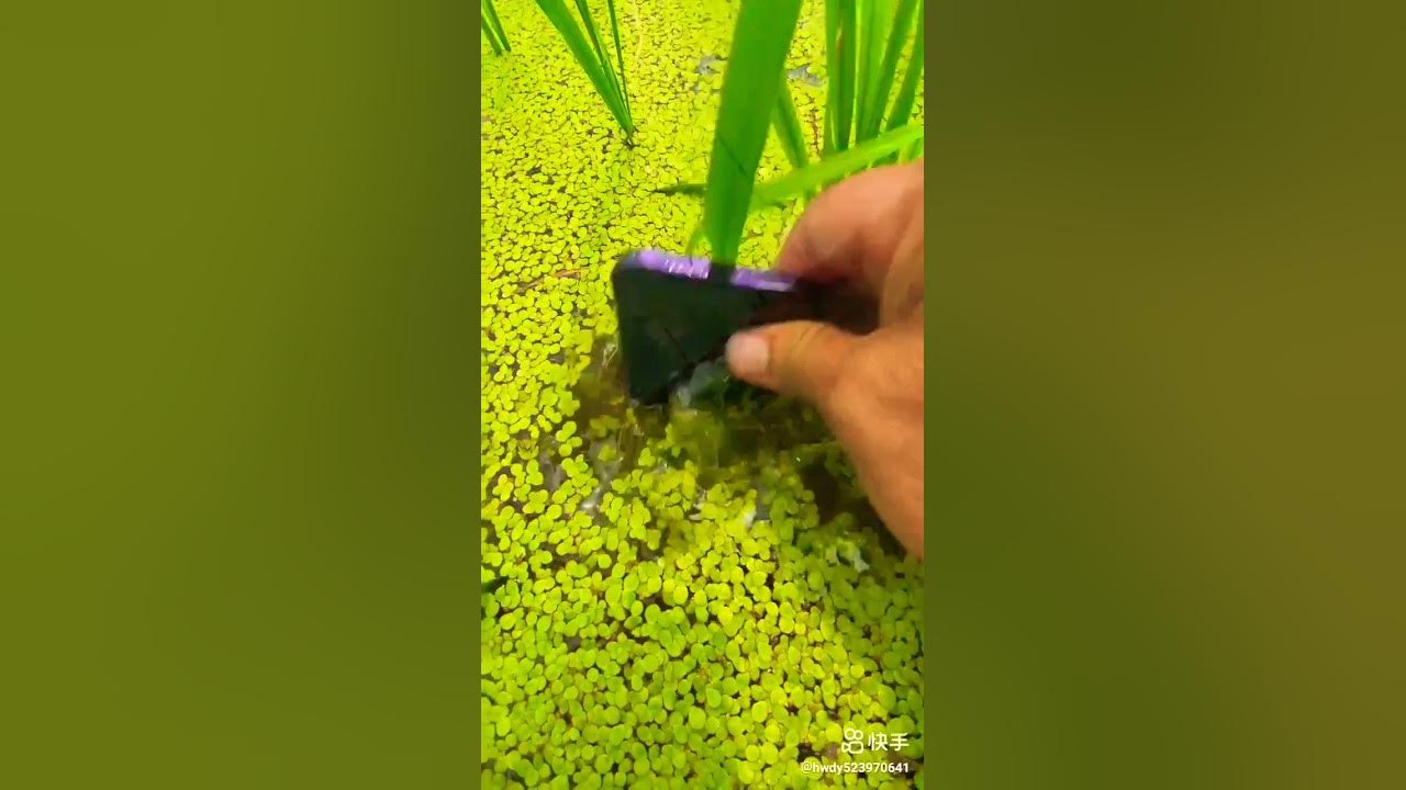 Amazing View YouTube amazing-view-youtube
