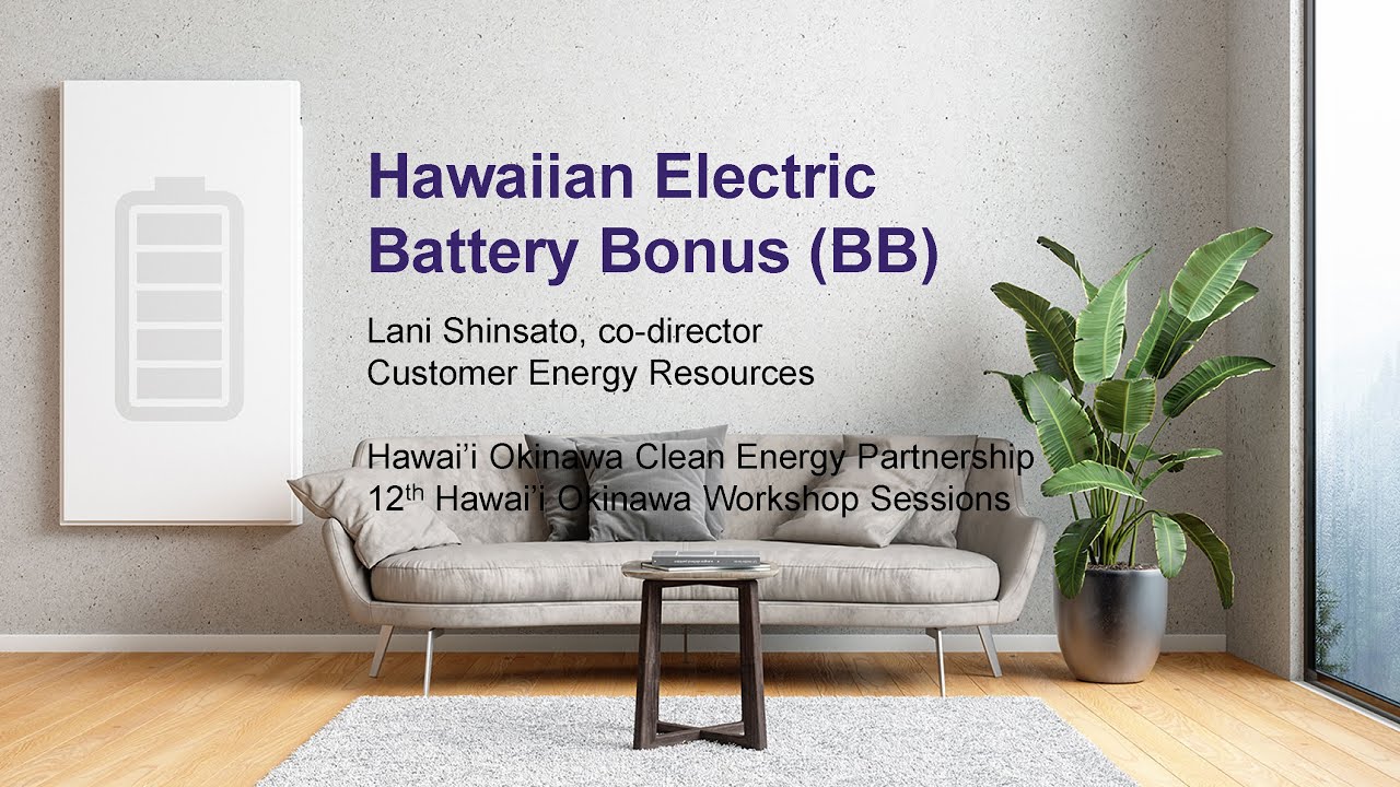 2-4 Hawaiian Electric Battery Bonus - YouTube