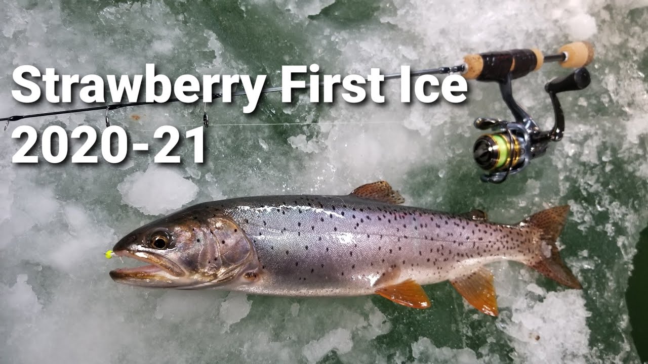 First Ice Fishing Trip to Strawberry Reservoir - Utah Ice Fishing ...