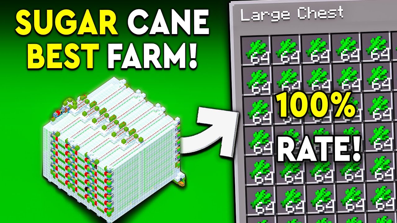 Best Sugar Cane Farm Minecraft Tutorial - 100%/RATE - 13,380/HR! - YouTube