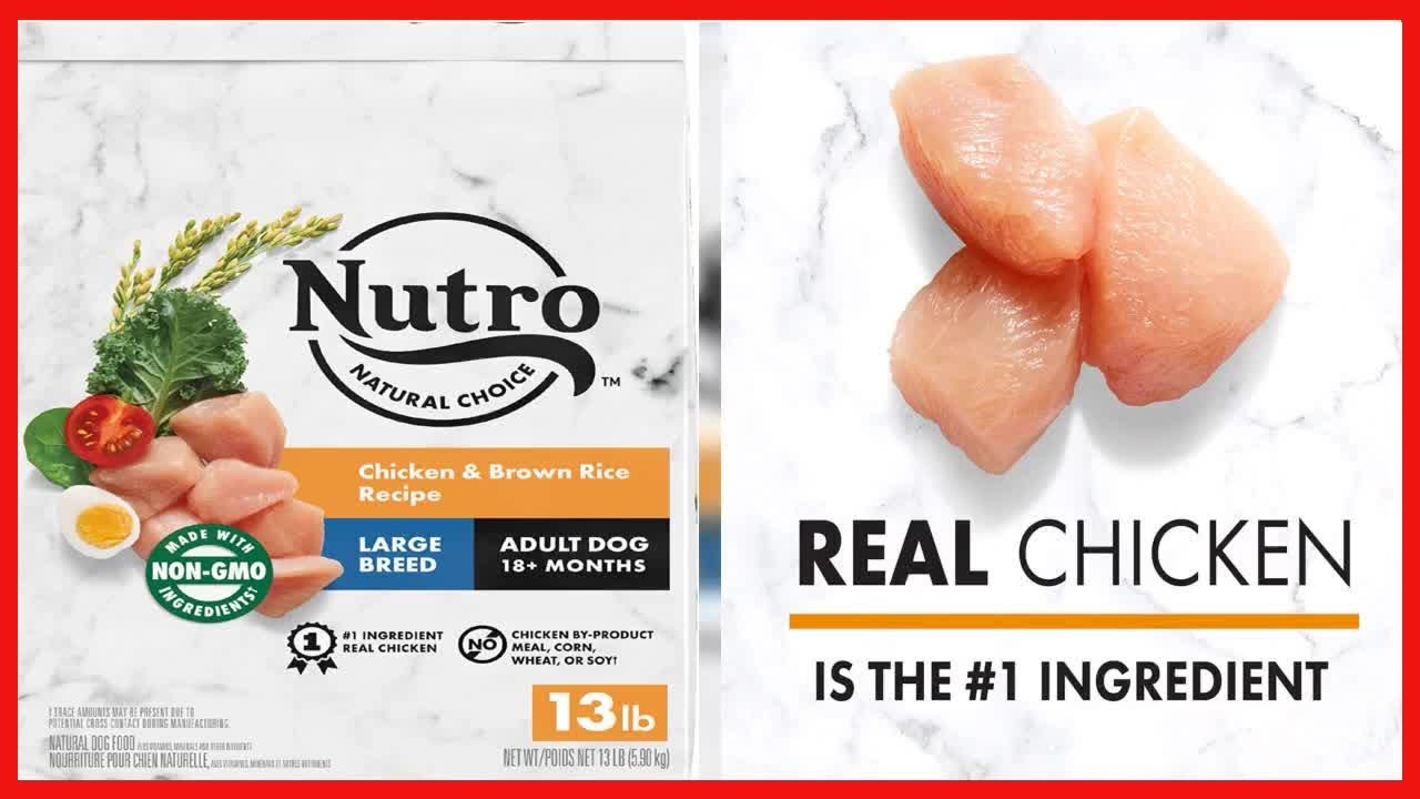 Nutro Natural Choice Large Breed Adult & Senior Dry Dog Food, Chicken ...