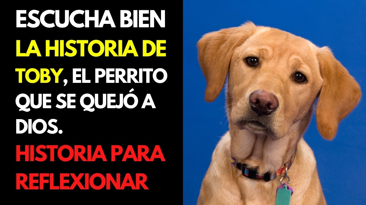 El PERRITO que se QUEJÓ a DIOS | HISTORIA PARA REFLEXIONAR - YouTube