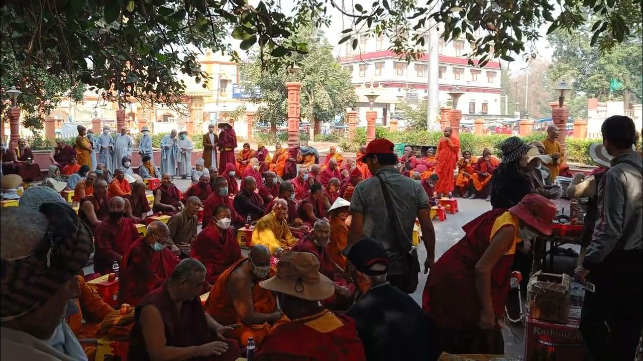 bodh bhikshu in Mahabodhi temple (gaya bihar) - YouTube