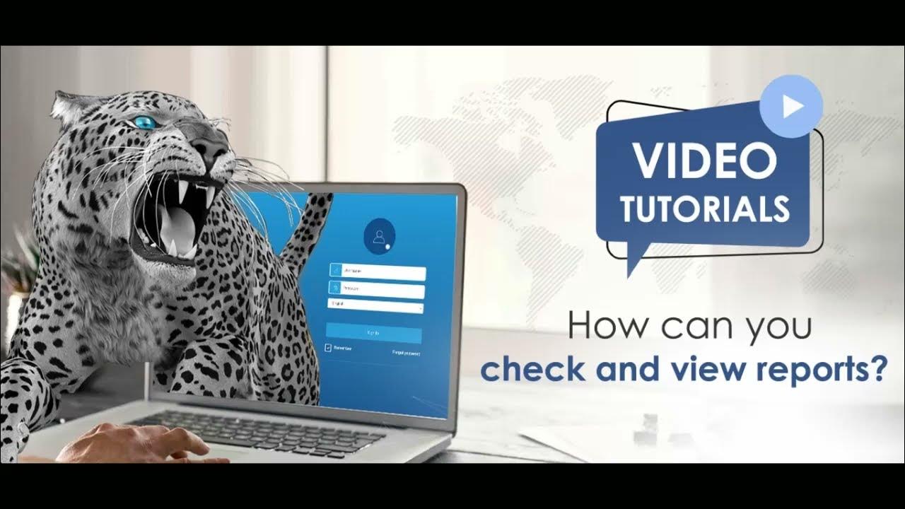 How can you check and view reports? - YouTube