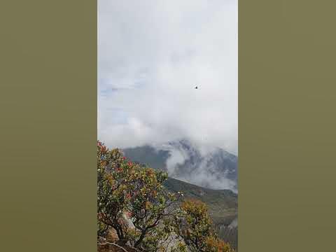 Keindahan Kawah Gunung Gede Pangrango #shorts - YouTube