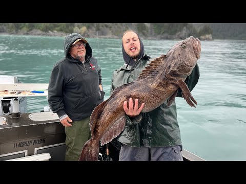 3 Days Of Fishing Seward Alaska