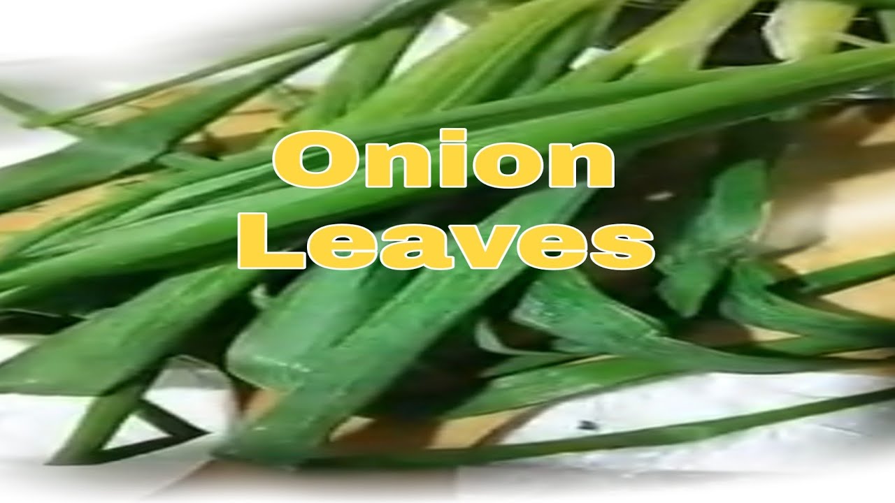 Dahon ng onion #masarap nilalagay sa niluto - YouTube