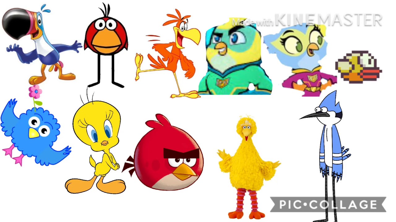 Which One Of These Birds Are Better? - YouTube