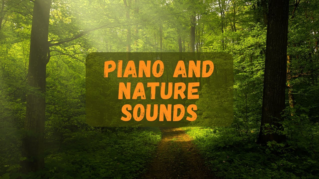 Piano Serenity: Relaxing Melodies with Nature Sounds | Meditation Music ...