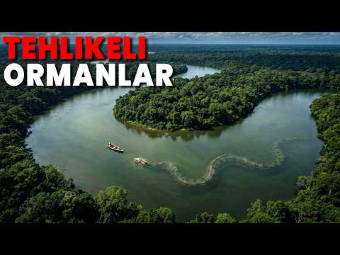 Dünyadaki En 15 Tehlikeli Balta Girmemiş Orman