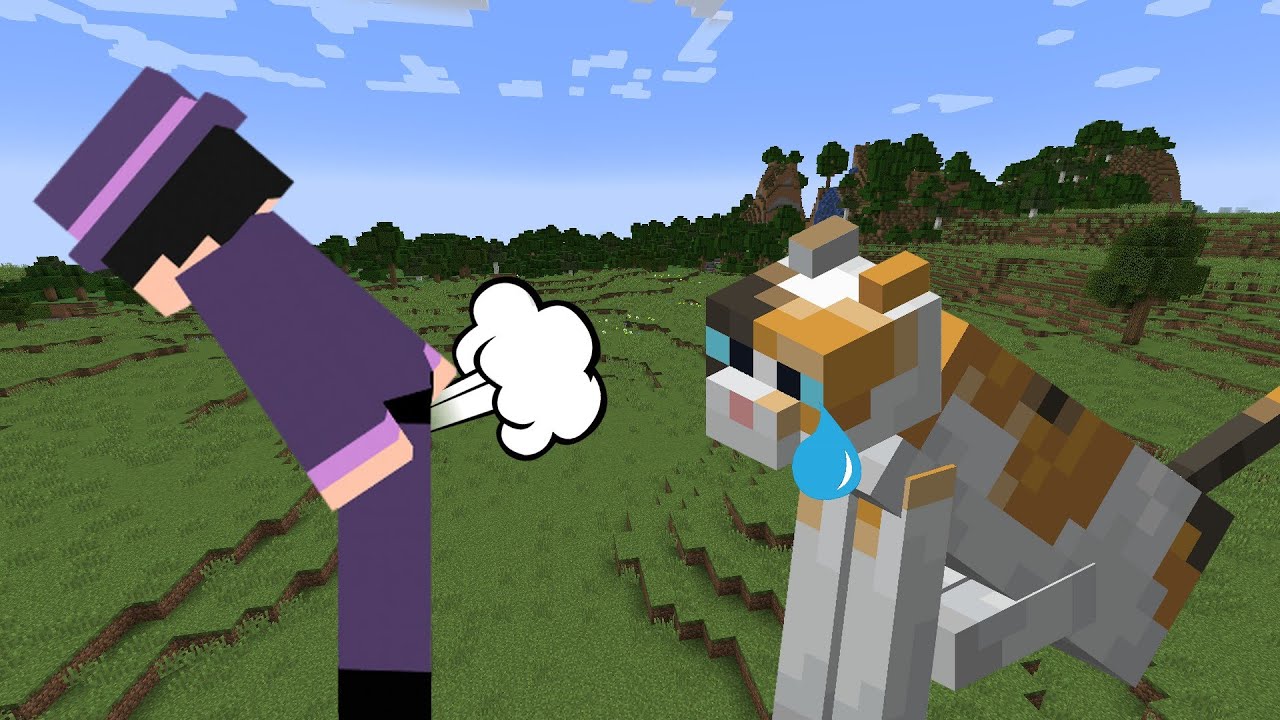 J'ai pété sur le chat 💨 - YouTube