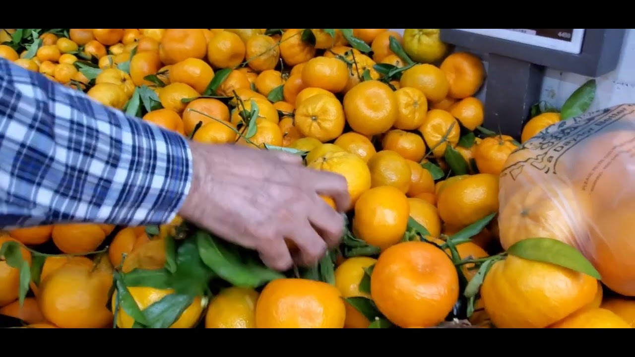 Orange market - YouTube