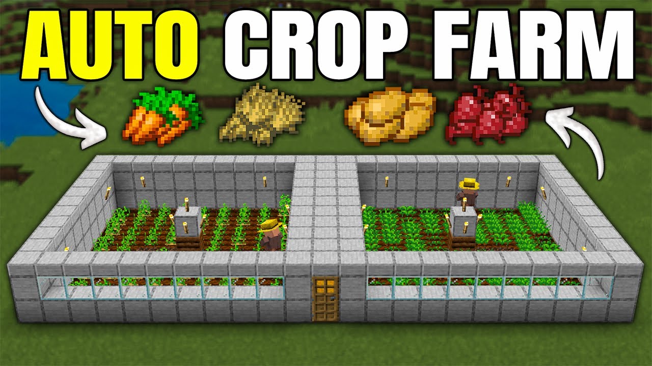 Easy Crop Farm for Minecraft Bedrock 1.21 (MCPE - PS - Xbox) - YouTube