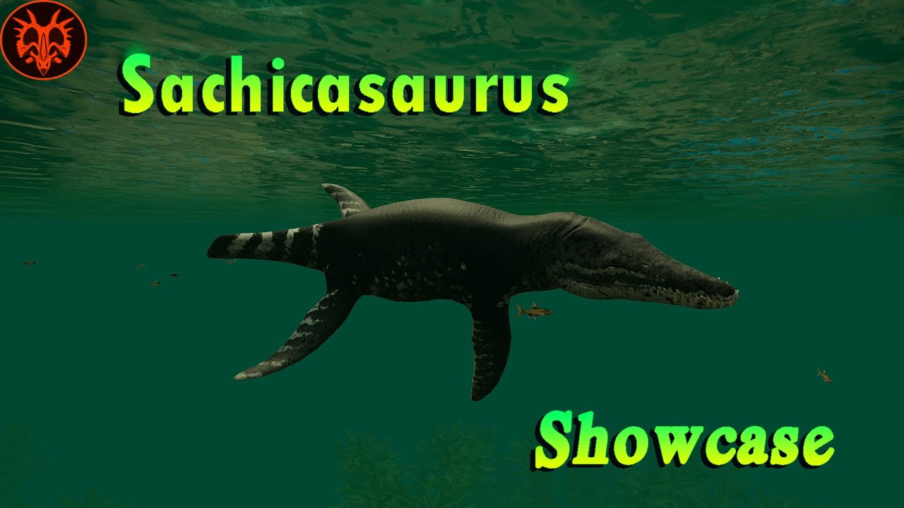 🐊Path of Titan🦖┋🌊Sachicasaurus showcase┋รีวิว Sachicasaurus!!🌊 - YouTube
