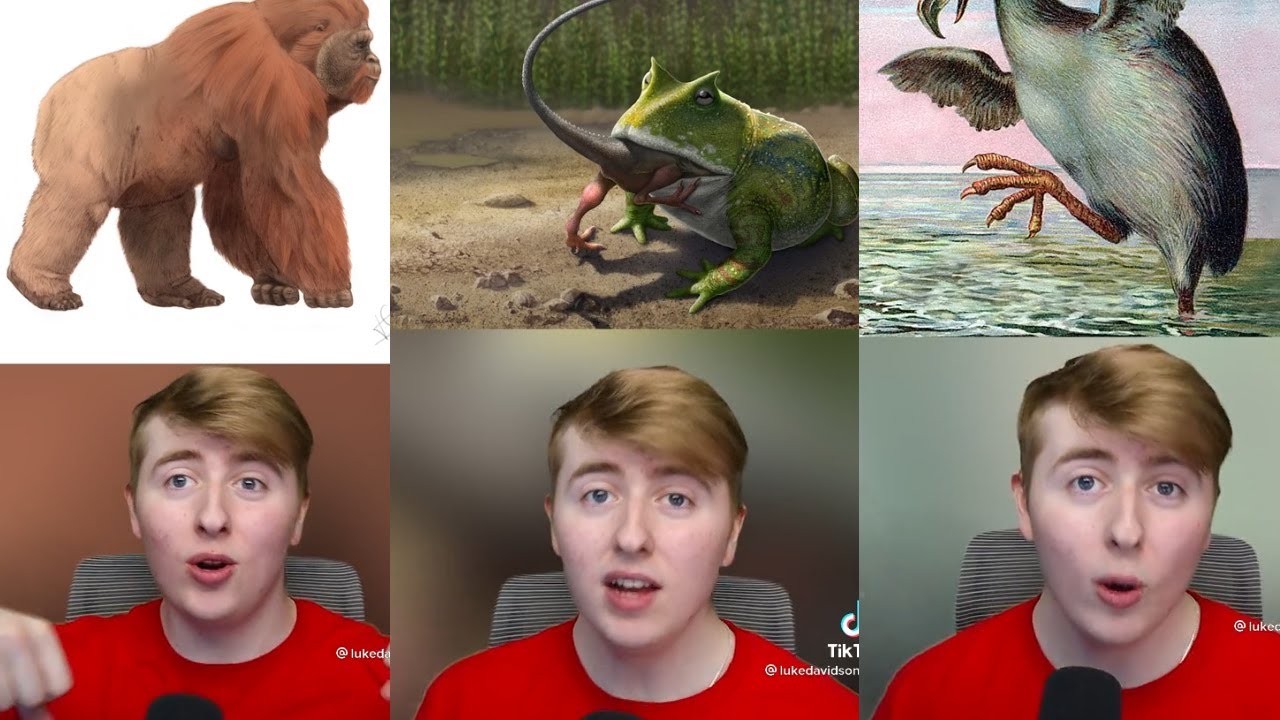 Luke Davidson - BEST Facts TikTok Compilation 2022 - YouTube