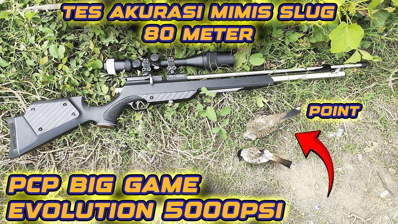 PCP BIG GAME TERBARU | PCP BIGGAME MIMIS SLUG EVOLUTION 5000PSI | PCP ...