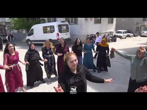 Kameraman selami Farkıyla Gurbet Dom Aşireti Reşit Gezerin oğlunun Düğün Töreni 1