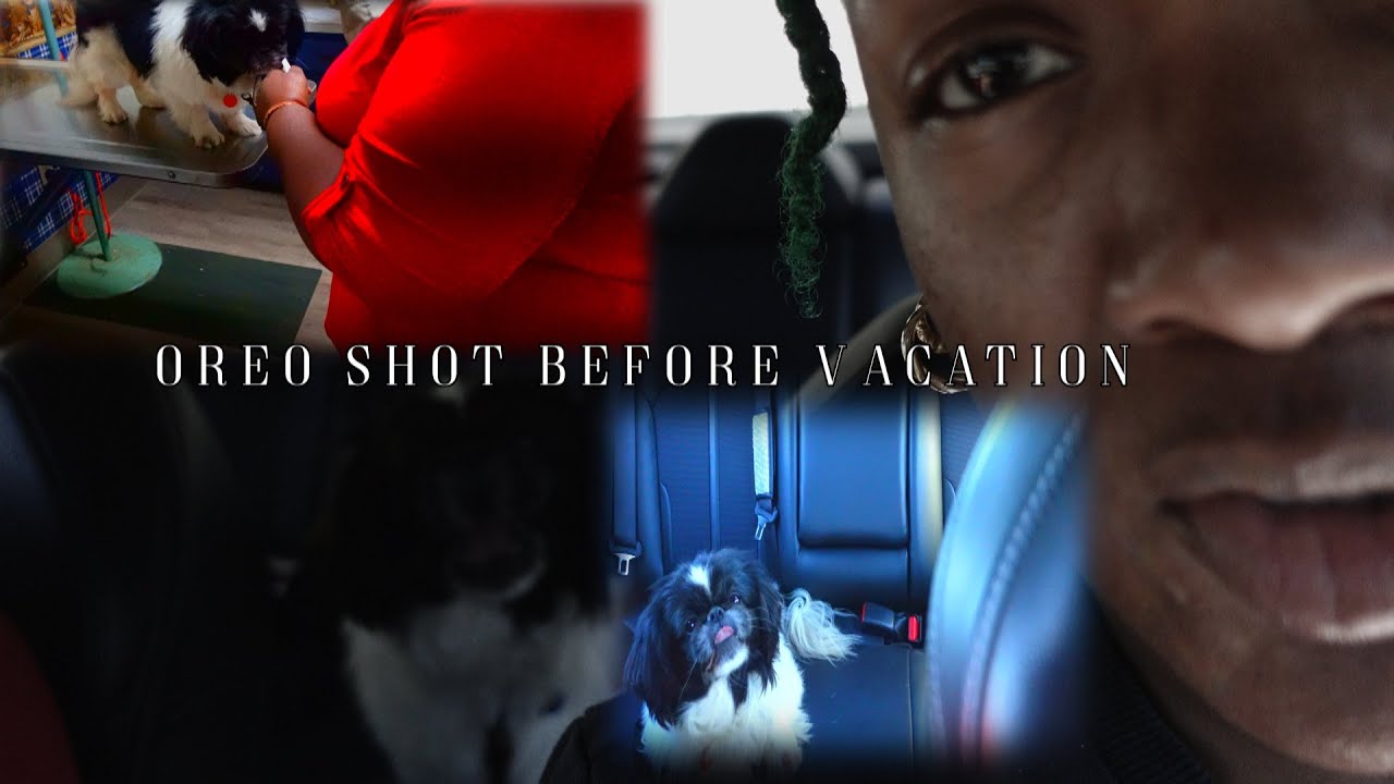 My 1st Time Taking Oreo To Get His Shot! - YouTube