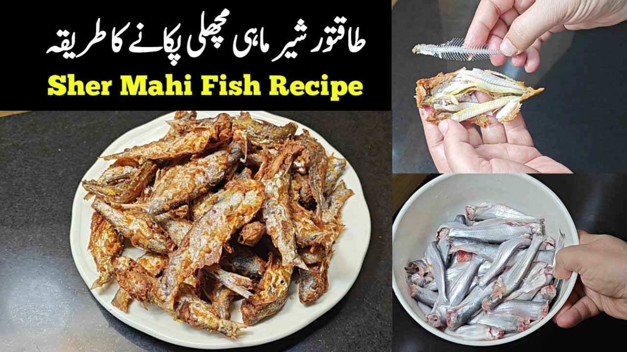 Famous Sher Mahi Fish Secret Recipe شیر ماہی مچھلی کی ریسپی - YouTube