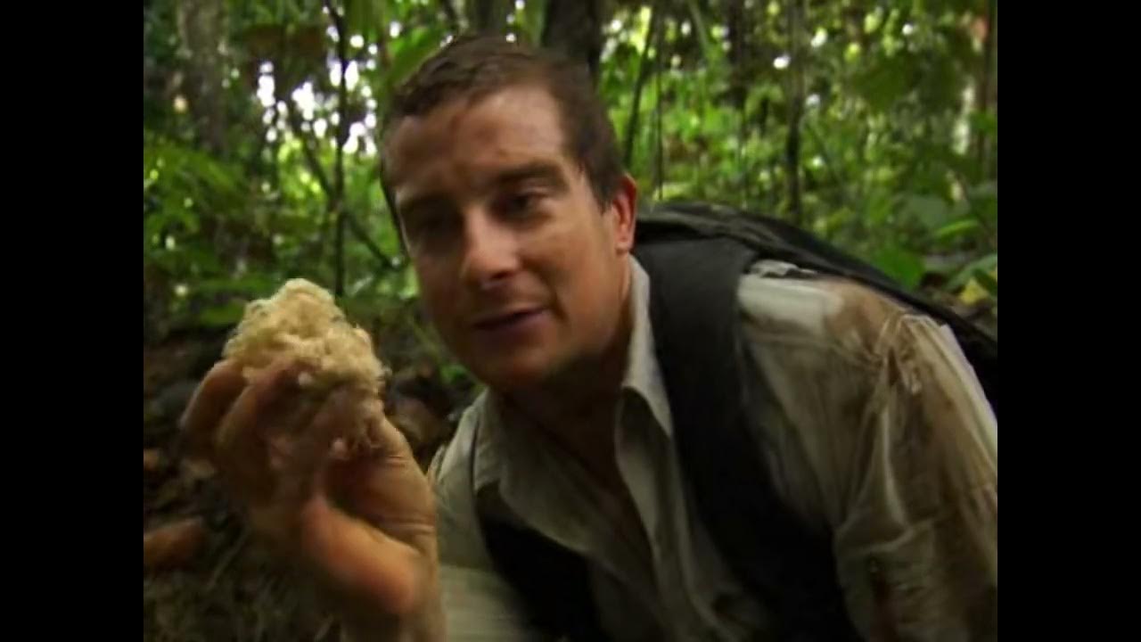 Sunny Leone With Bear Grylls Beargrylls Youtube