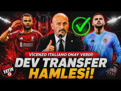 🔥 VINCENZO ITALIANO ONAY VERDİ! Cody Gakpo & Lucas Chevalier Beşiktaş'a mı Geliyor? | CANLI YAYIN