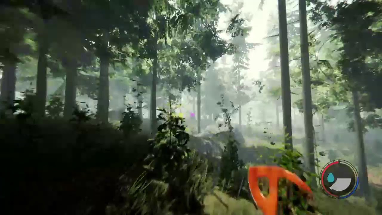 Forest gameplay - YouTube