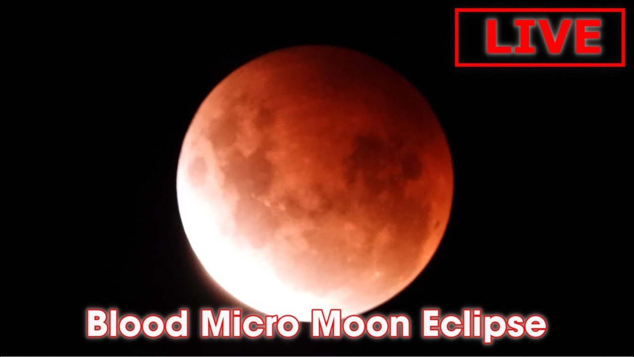 Micro Blood Moon Eclipse - Live - YouTube