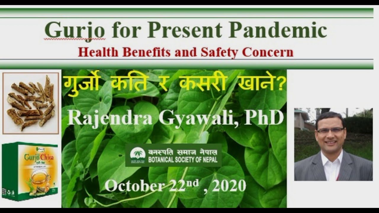 गुर्जो कति र कसरी खाने? ग्रन्थ, बिज्ञान र विश्लेषण! Safety: GILOY ...