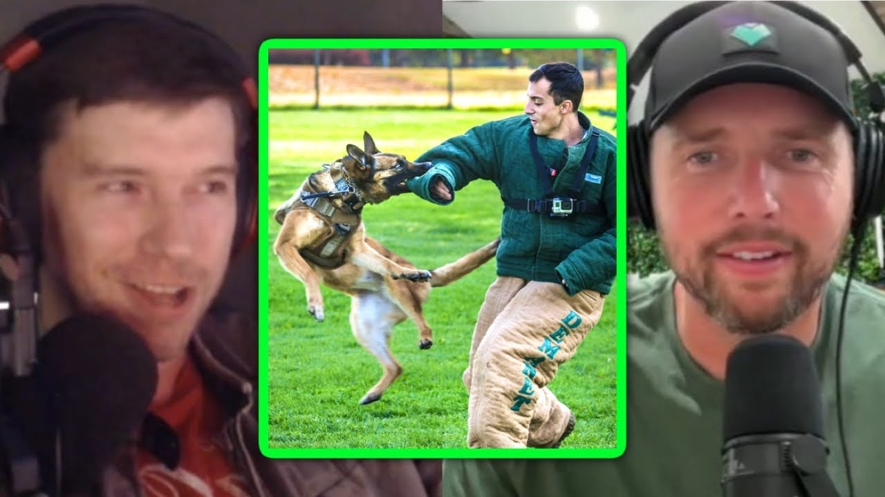 How Dangerous are Military Working Dogs? - YouTube