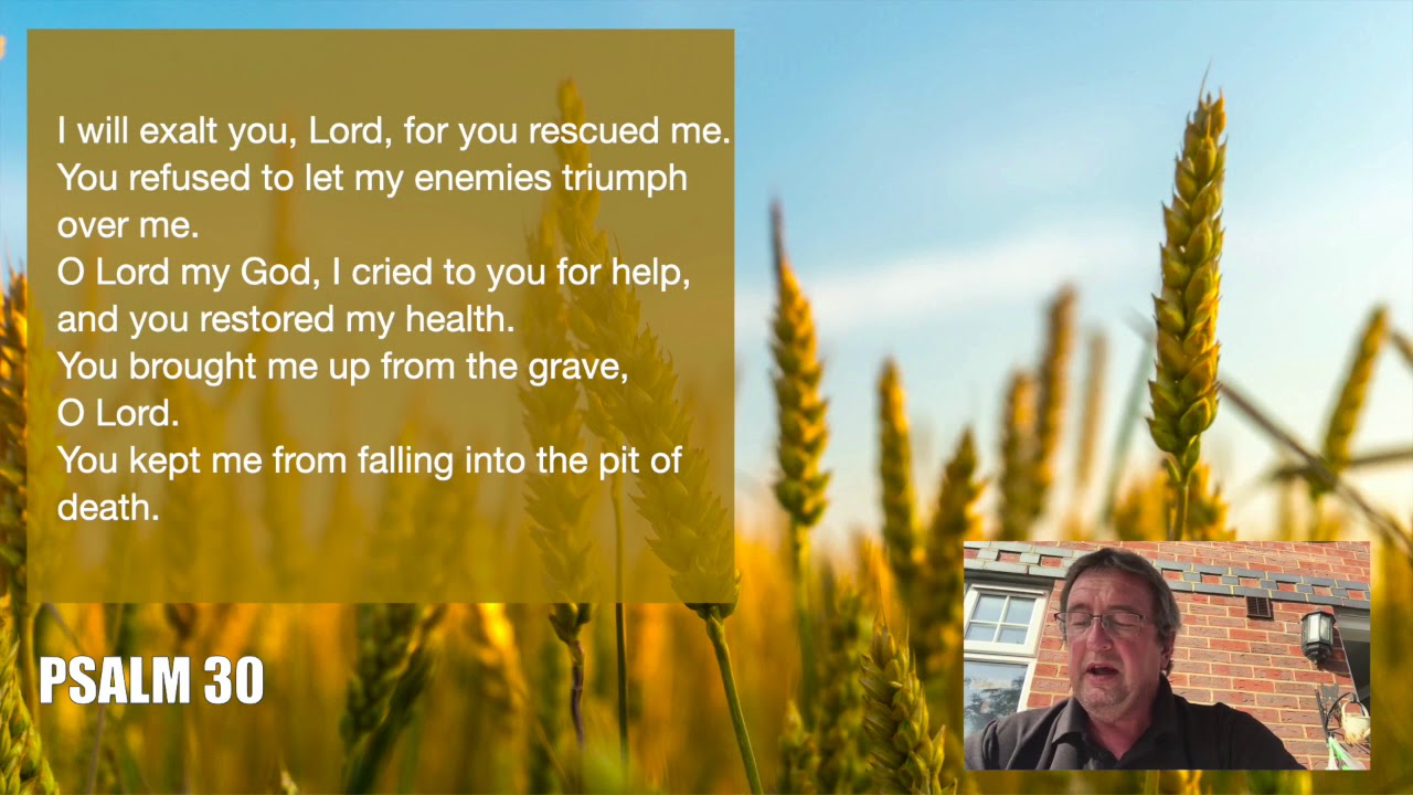Reading through the Psalms - Psalm 30 - YouTube