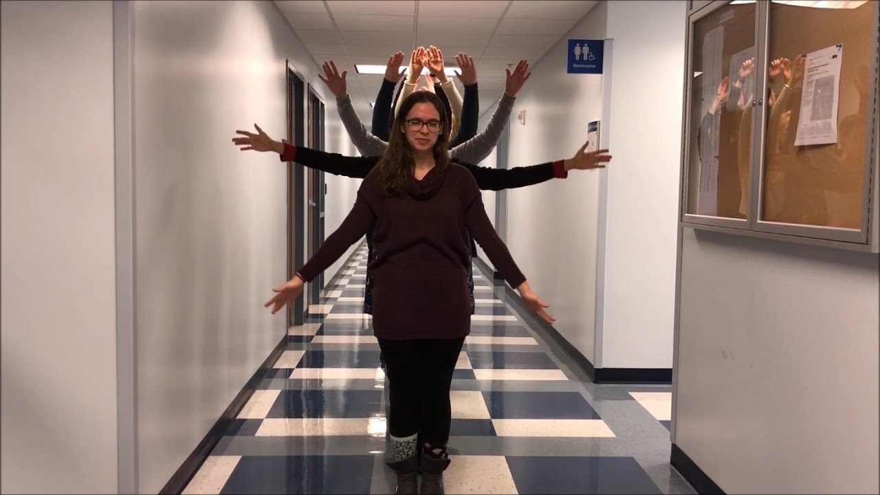 Anatomy 12 Days of Xmas 2017 - YouTube