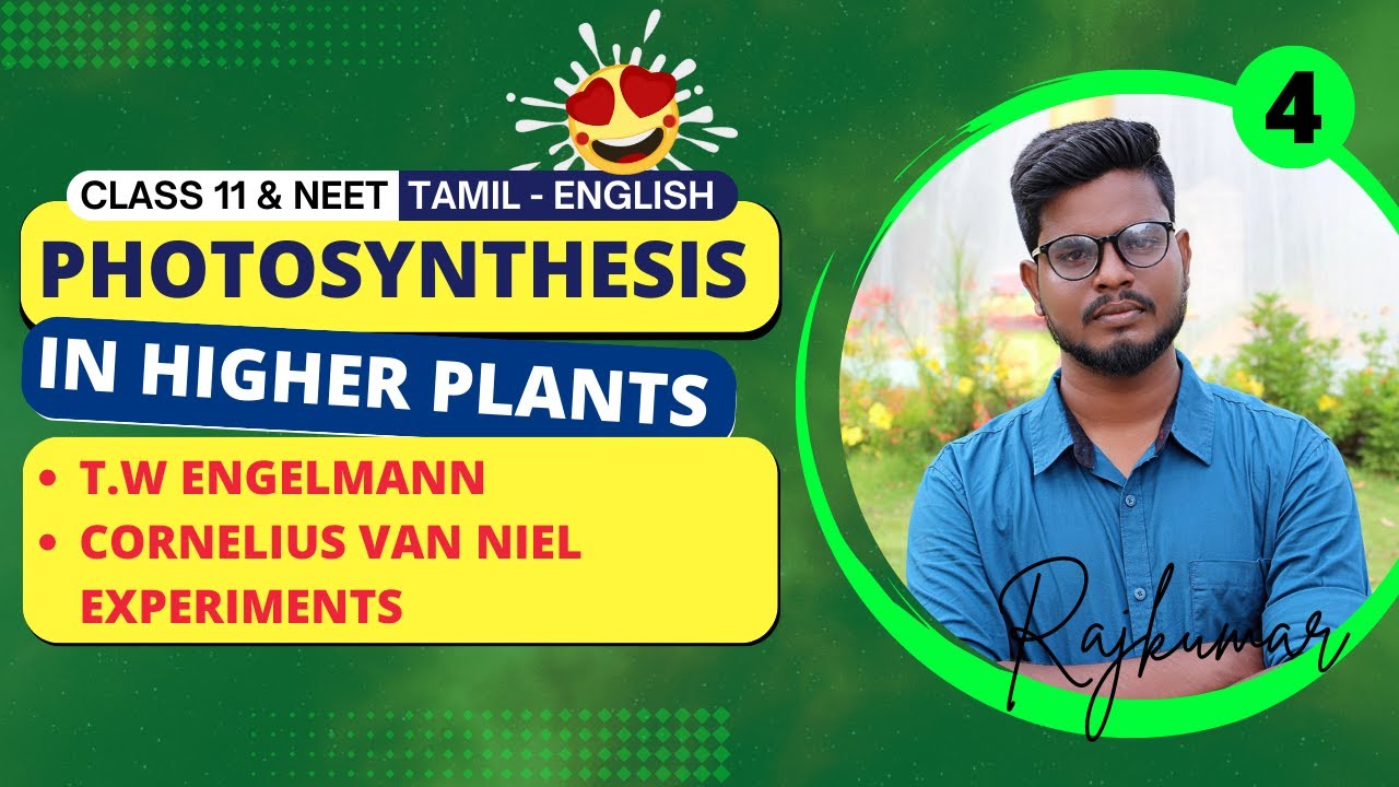 T.W Engelmann and Cornelius Van Niel Experiment | Photosynthesis in ...