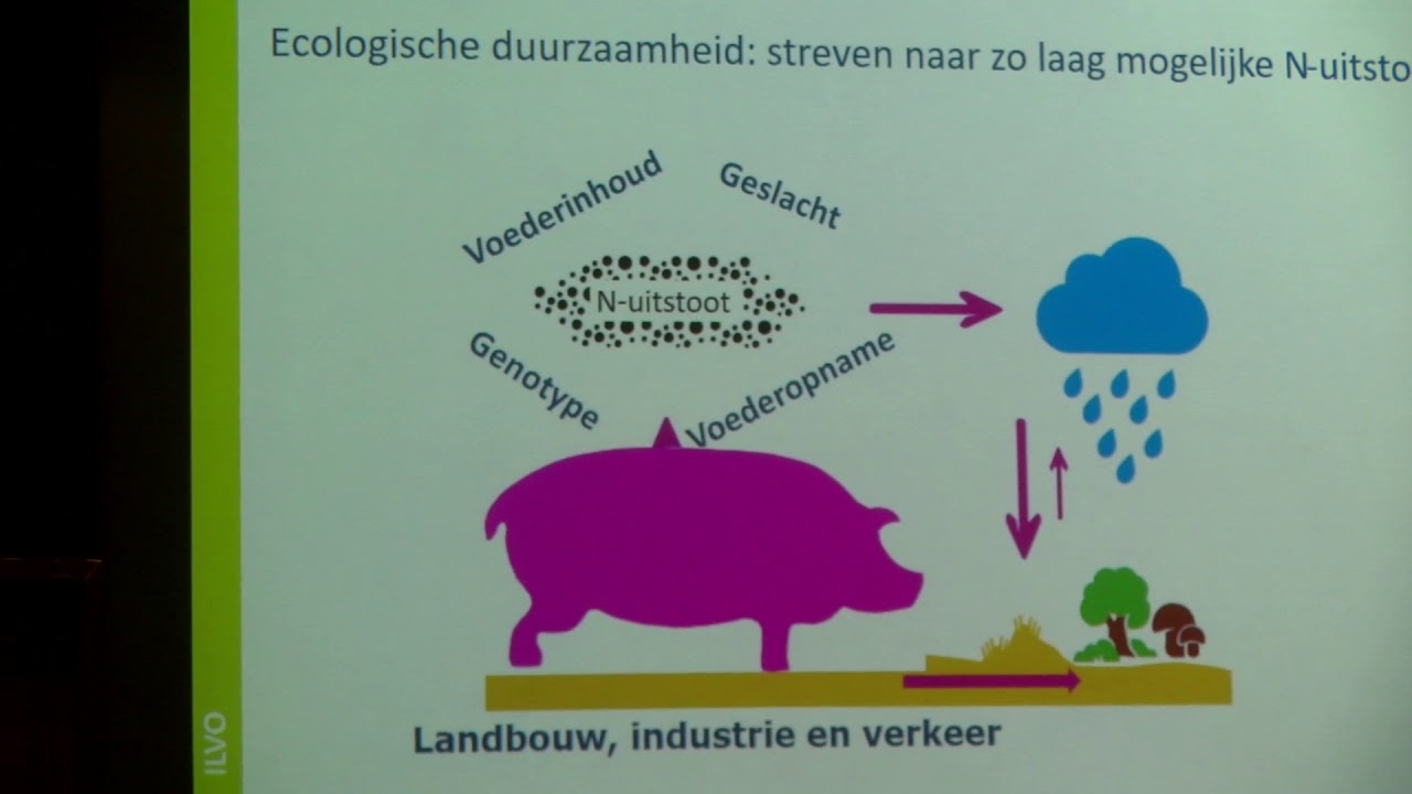 De stikstofbalans op een varkensbedrijf Sam Millet en Alice Van den ...