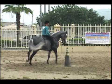 Amazona Katherine Roldan - YouTube