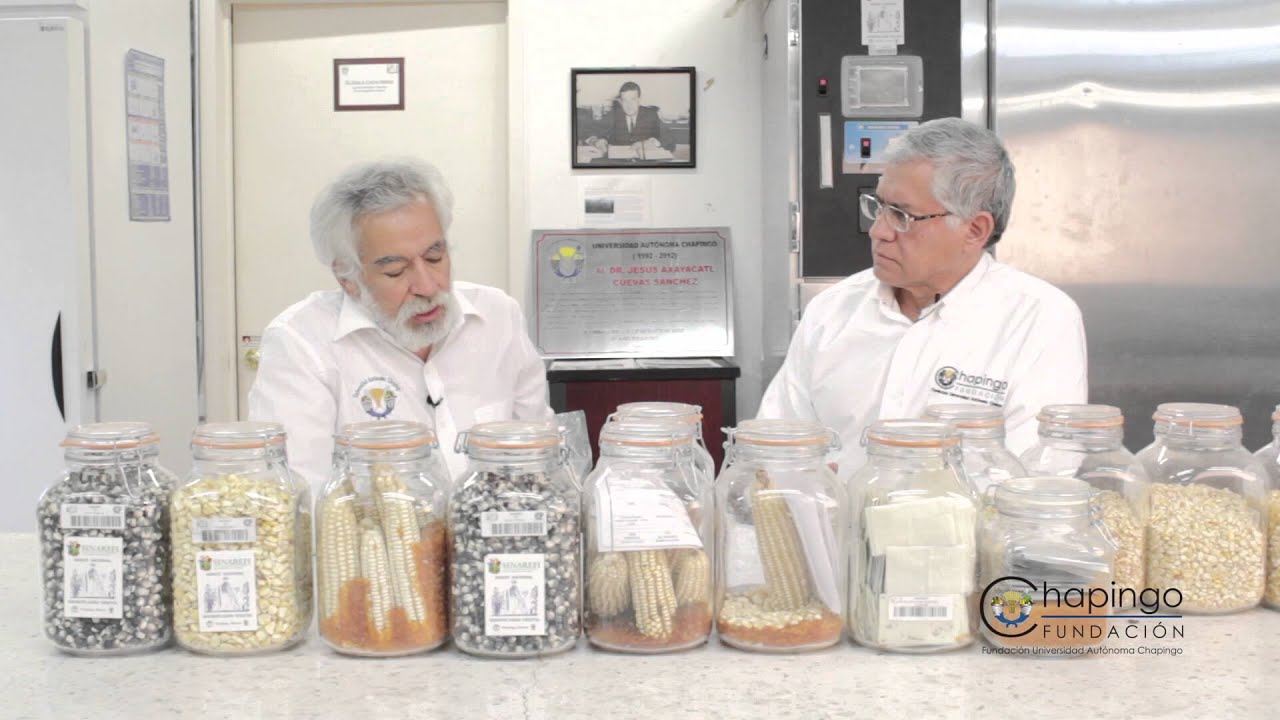 Banco de Germoplasma Vegetal / Fundación Informa - YouTube