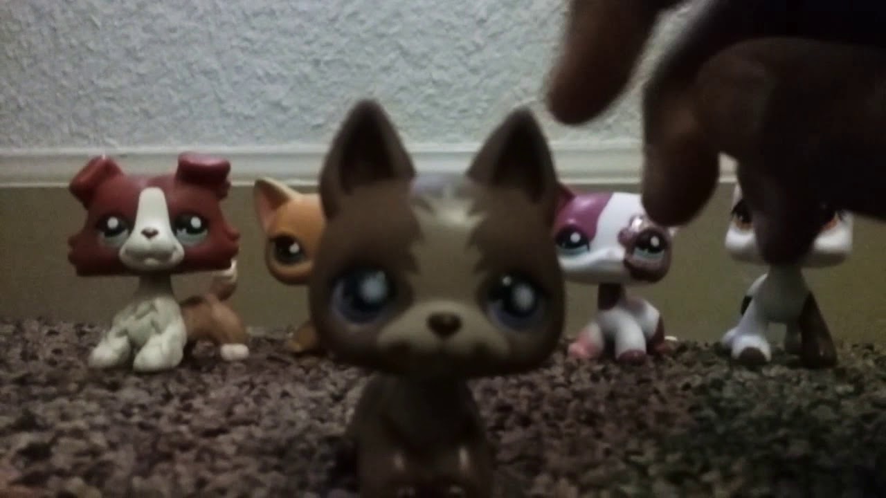 Lps| new series😄 showing u my drawings and new lps (funny) - YouTube