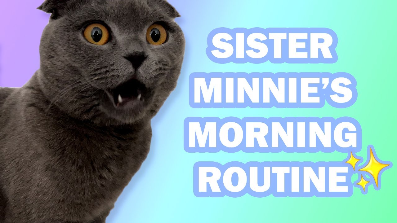 Sister Minnie's Morning Routine - YouTube