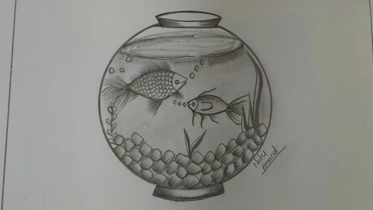 How To Draw Small Aquarium ? | Aquarium Pencil Sketch | Pencil Drawing ...