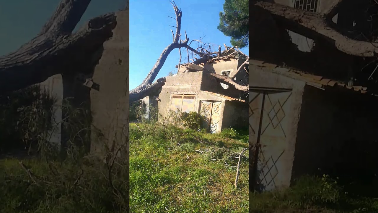 Casa distrutta dal un albero - YouTube