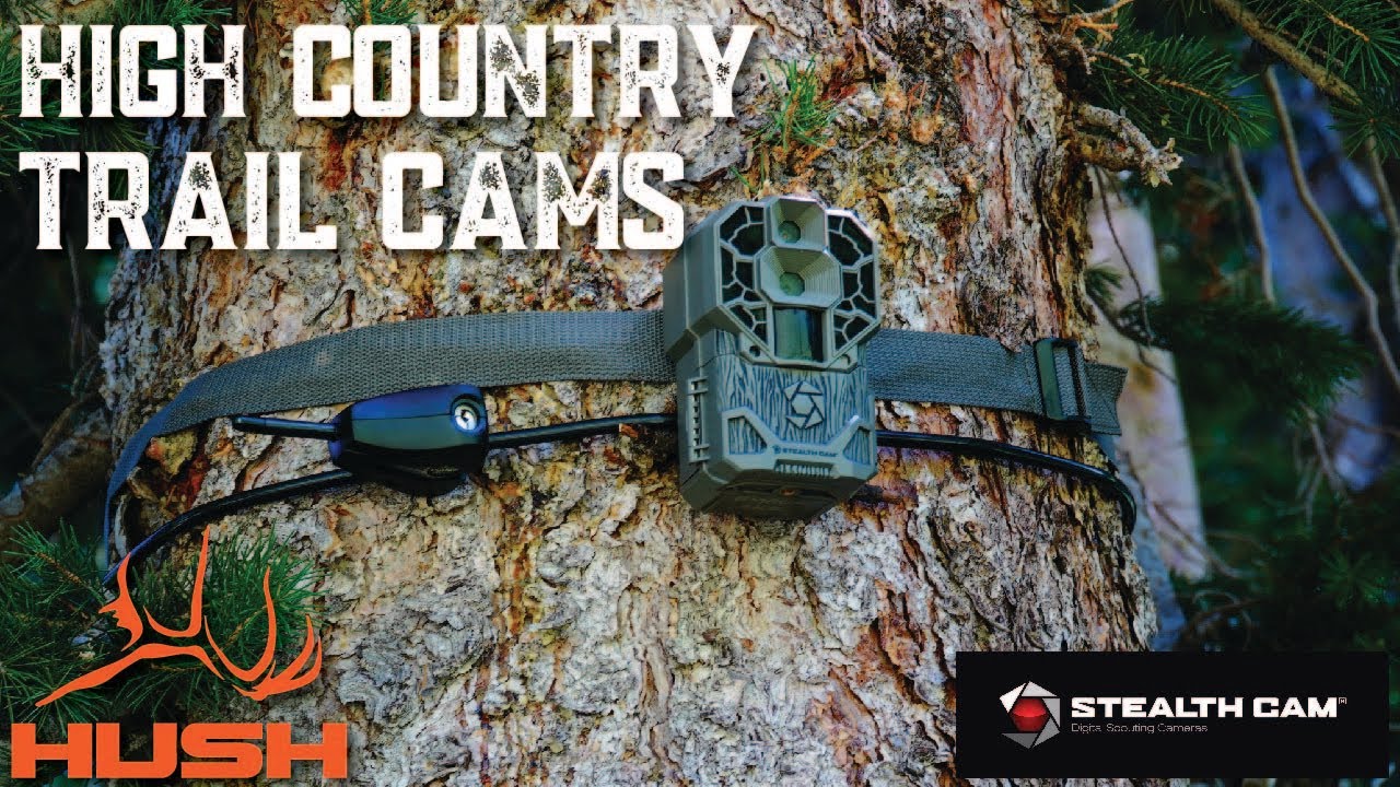 SETTING TRAIL CAMERAS IN THE HIGH COUNTRY! - YouTube