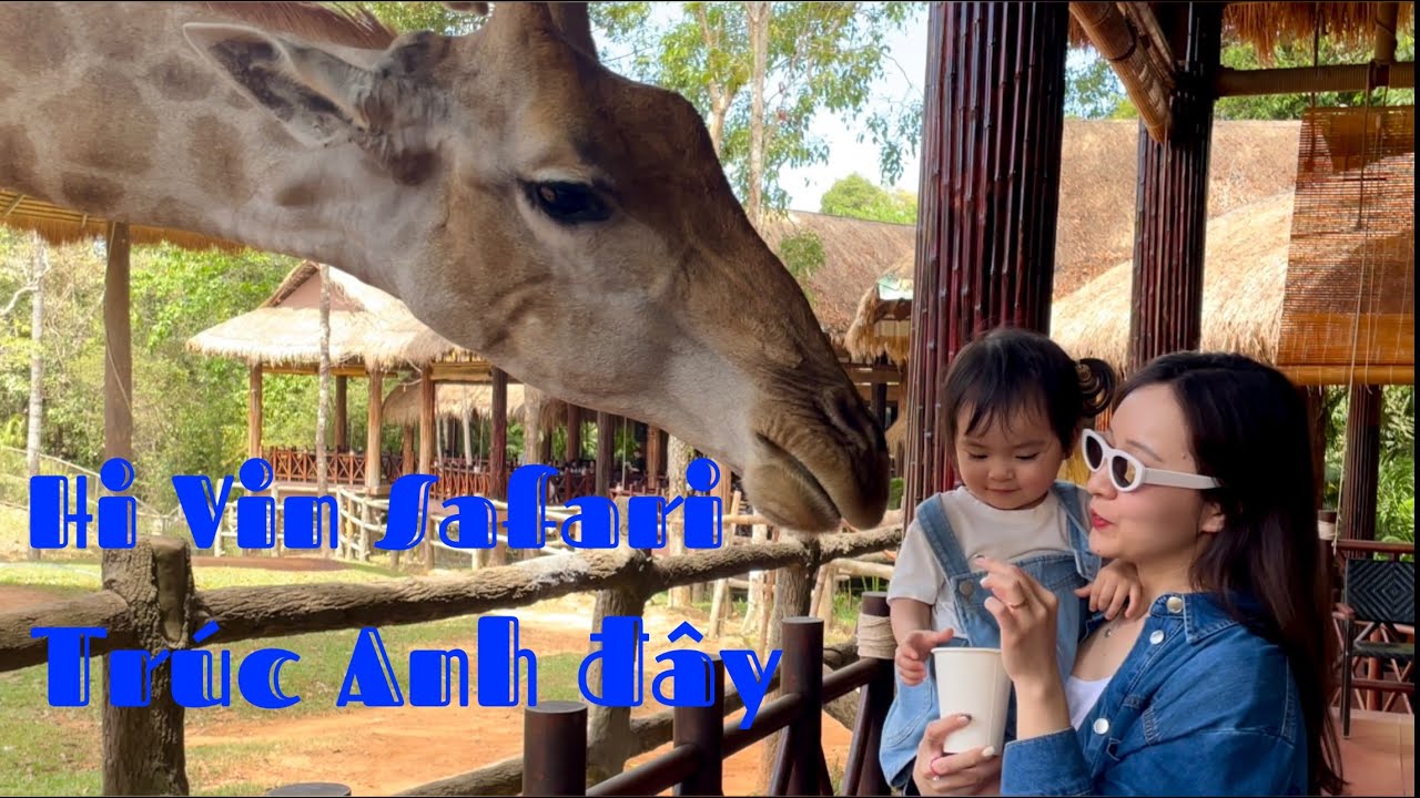 Vlog #3 Vin Safari ơi Trúc Anh đây. Series Phú Quốc ơi Trúc Anh tới đây ...