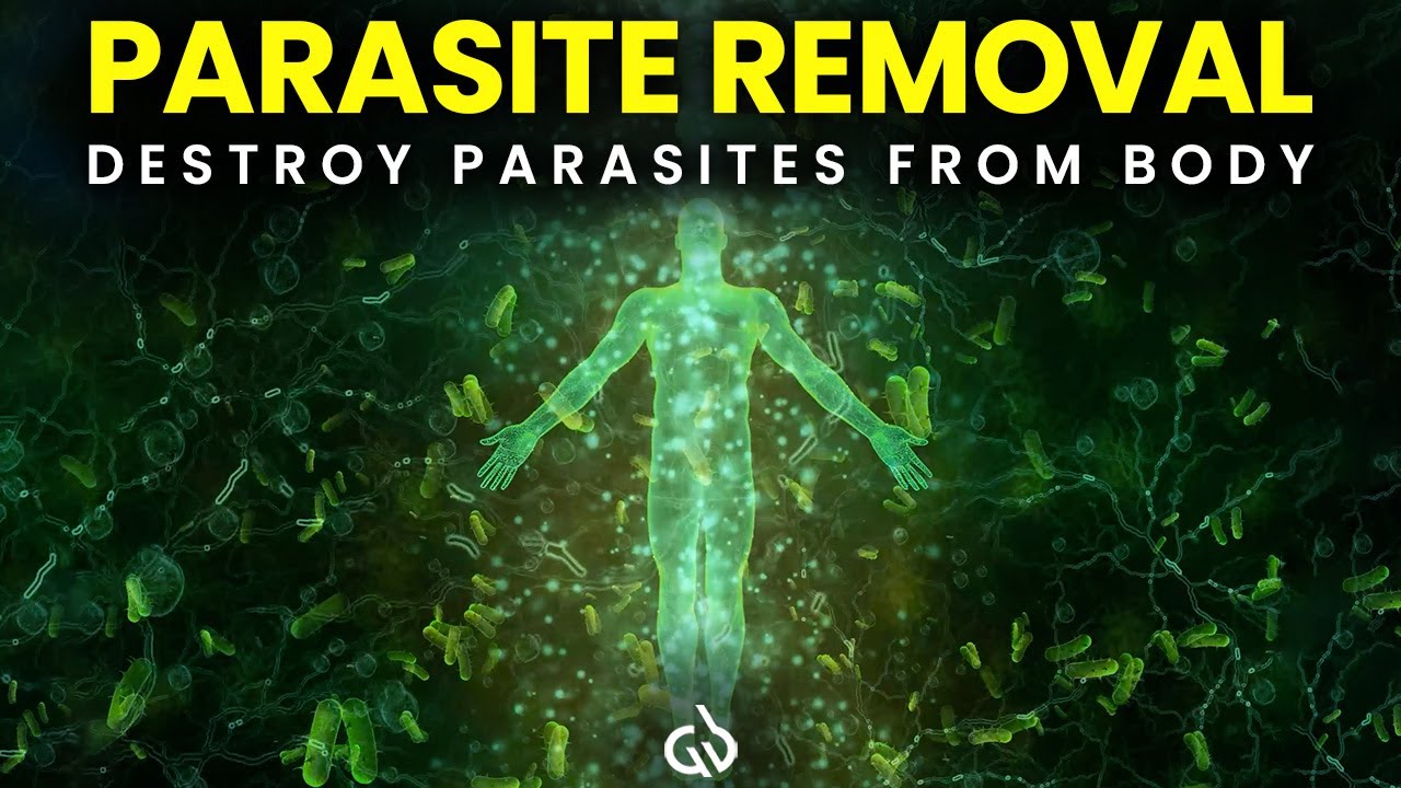 1150 Hz Cleanse Parasites: Parasite Removal Frequency, Rife Frequency ...
