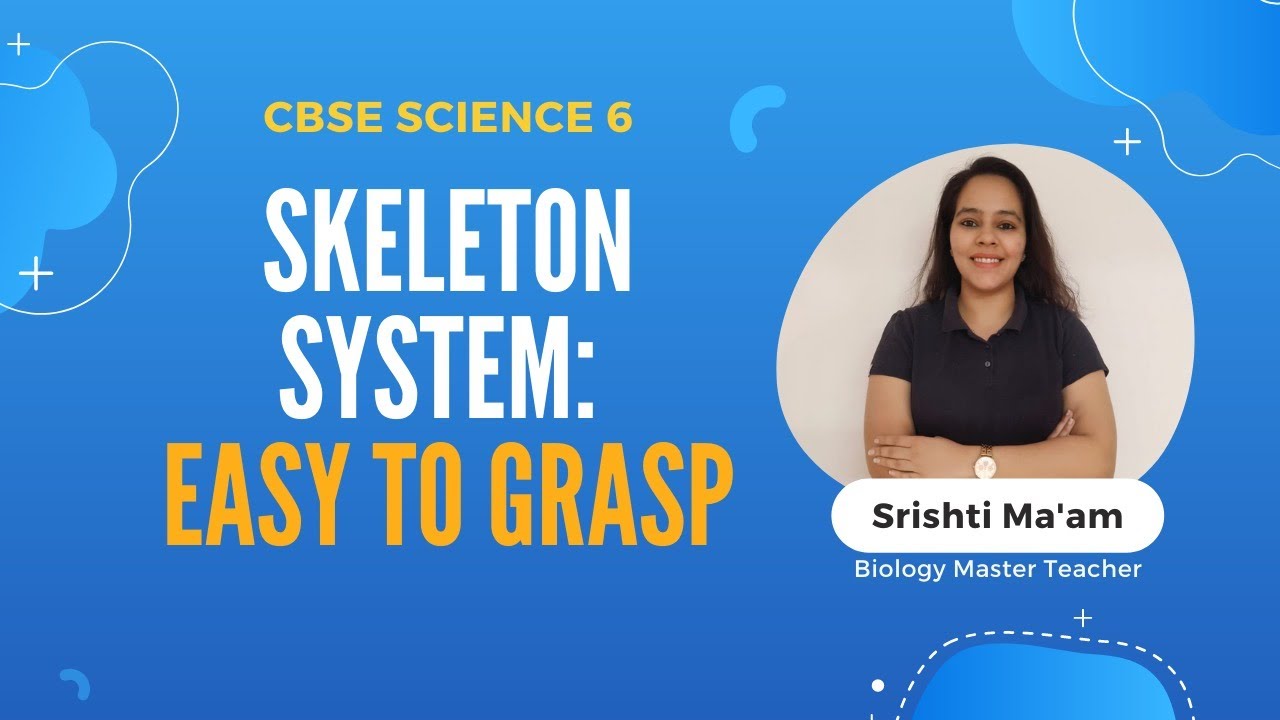Skeleton System: Easy to Grasp |Class 6 |Science | CBSE |Learn Live ...