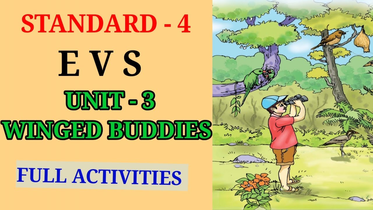 WINGED BUDDIES STD 4 EVS UNIT 3 | CLASS 4 EVS CHAPTER 3 WINGED BUDDIES FULL ACTIVITIES - YouTube