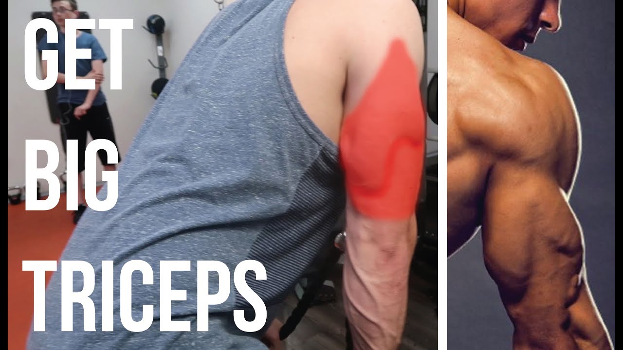 How To Get Big Triceps (Fast Results) | 60 Second Gains - YouTube