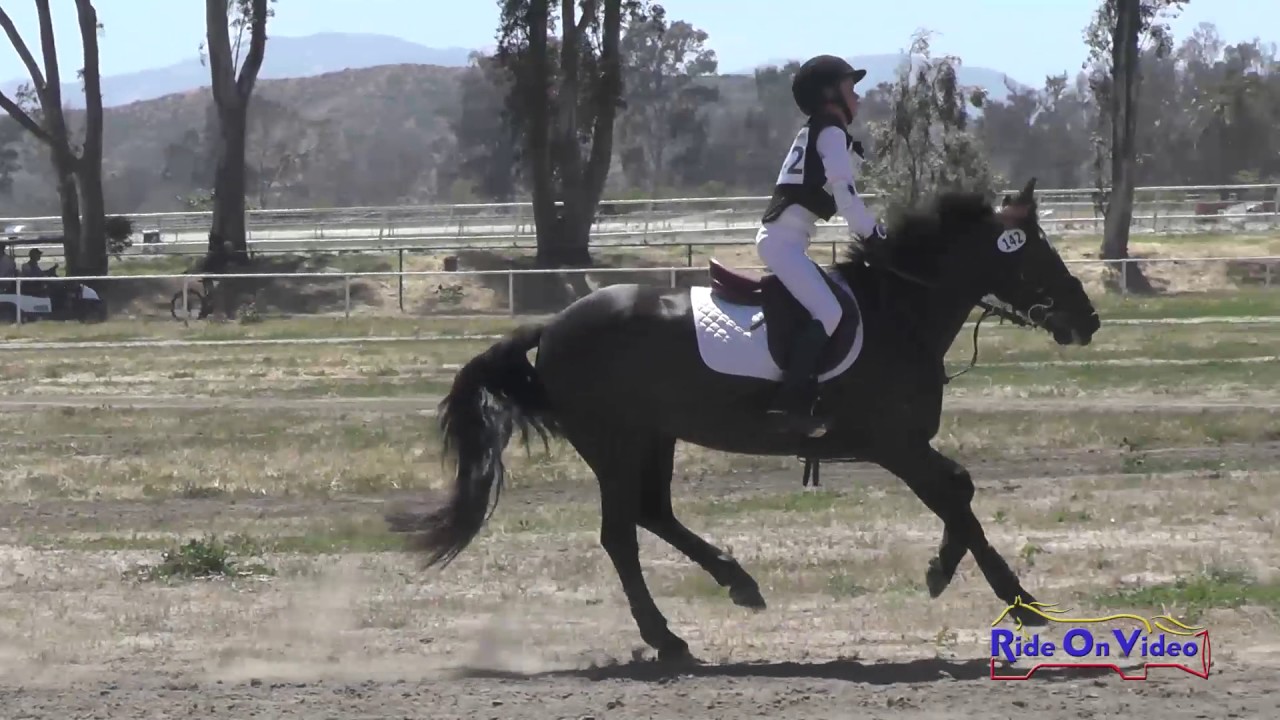 142XC Hailey Weber on Master Jockey JR Beginner Novice Cross Country ...